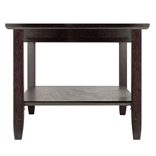 Winsome Genoa Rectangular Coffee Table with Glass Top And Shelf