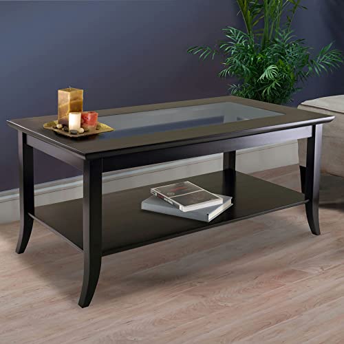 Winsome Genoa Rectangular Coffee Table with Glass Top And Shelf