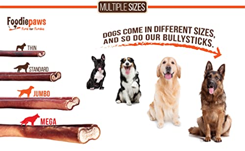 FOODIEPAWS All Natural 6-inch Mega Bully Sticks Odor Free USA Packed for Medium, Large Dogs-100% Free-Range Grass-Fed Beef-Single Ingredient & Rawhide Free-Longer Lasting Dental Dog Chews 15 Pcs