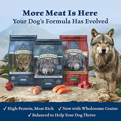 Blue Buffalo Wilderness High Protein Natural Senior Dry Dog Food Plus Wholesome Grains, Chicken 28 lb Bag