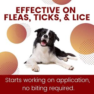 ZoGuard Plus Flea and Tick Prevention for Dogs (Large - 45-88 lb)