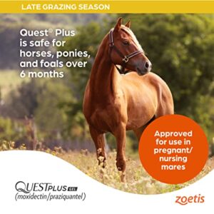 Quest Plus Gel Moxidectin/ Praziquantel Horse Dewormer, Late Grazing Season recommended for Horses and Ponies 6 months and older, 0.5oz Sure-Dial Syringe