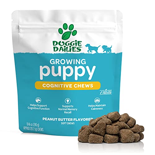 Doggie Dailies Cognitive Puppy Chews | Puppy Vitamins with DHA, Selenium, Organic Ashwagandha & Antioxidants to Support Brain Health, Nervous System Function & Promote Calmness | 120 Soft Chews