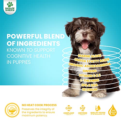 Doggie Dailies Cognitive Puppy Chews | Puppy Vitamins with DHA, Selenium, Organic Ashwagandha & Antioxidants to Support Brain Health, Nervous System Function & Promote Calmness | 120 Soft Chews