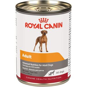 royal canin canine health nutrition adult in gel canned dog food, 13.5 oz (pack of 12)