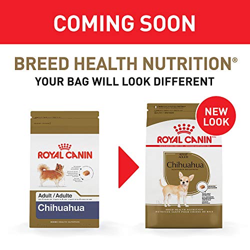 Royal Canin Chihuahua Adult Dry Dog Food, 2.5 lb bag