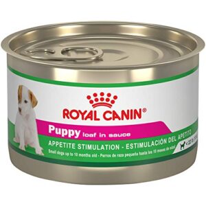 royal canin canine health nutrition puppy loaf in sauce canned dog food, 5.2 oz can (pack of 24)