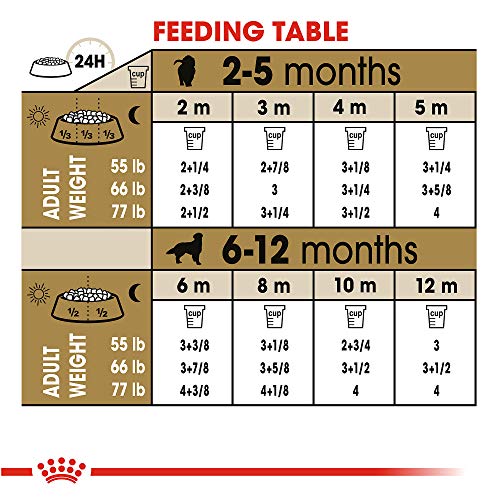 Royal Canin Breed Health Nutrition Golden Retriever Puppy Dry Dog Food, 30 lb