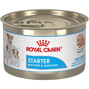 royal canin size health nutrition starter mother & babydog mousse in sauce wet dog food, 5.8 oz can (case of 24)