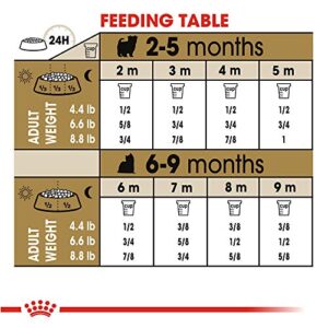 Royal Canin Breed Health Nutrition Yorkshire Terrier Puppy Dry Dog Food, 2.5 lb