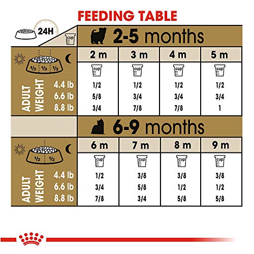 Royal Canin Breed Health Nutrition Yorkshire Terrier Puppy Dry Dog Food, 2.5 lb