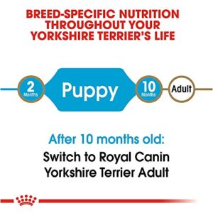 Royal Canin Breed Health Nutrition Yorkshire Terrier Puppy Dry Dog Food, 2.5 lb