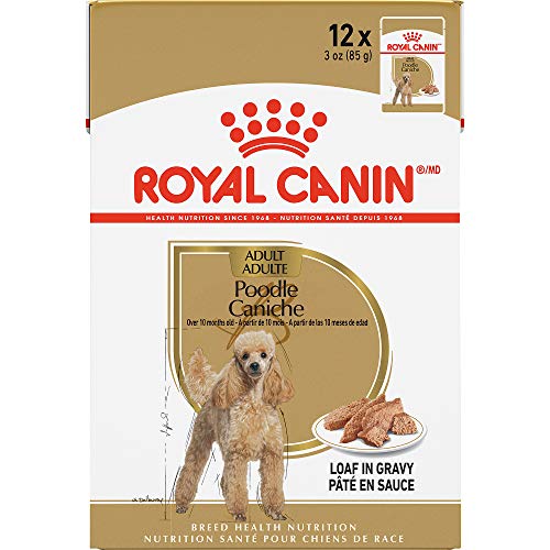 Royal Canin Breed Health Nutrition Poodle Loaf in Gravy Pouch Dog Food, 3 oz Pouch (Pack of 12), 722985