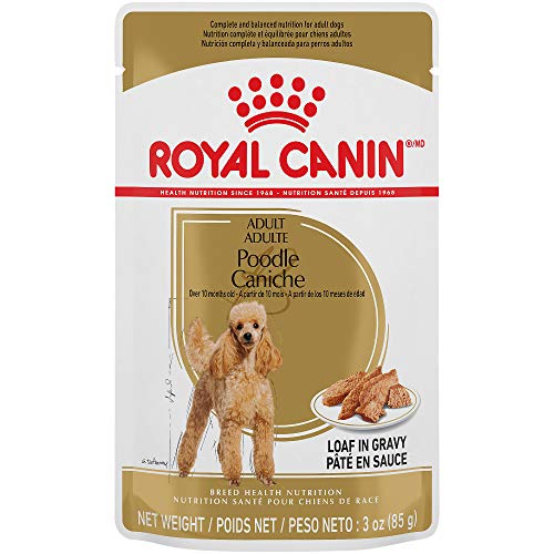 Royal Canin Breed Health Nutrition Poodle Loaf in Gravy Pouch Dog Food, 3 oz Pouch (Pack of 12), 722985