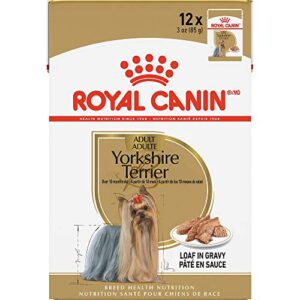 Royal Canin Yorkshire Terrier Adult Breed Specific Wet Dog Food, 3 oz 12-pack