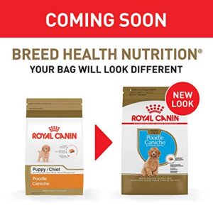 Royal Canin Breed Health Nutrition Poodle Puppy Dry Dog Food, 2.5 lb