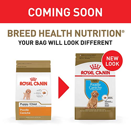 Royal Canin Breed Health Nutrition Poodle Puppy Dry Dog Food, 2.5 lb