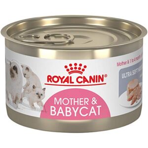 royal canin feline health nutrition mother & babycat ultra soft mousse in sauce canned cat food, 5.1 oz can (pack of 24)