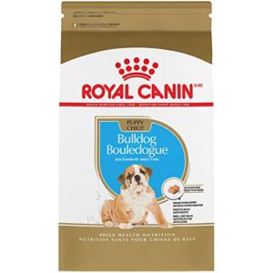 royal canin bulldog puppy dry dog food, 6 lb bag