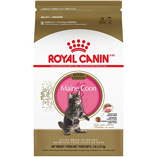 Royal Canin Feline Breed Nutrition Maine Coon Kitten Dry Cat Food, 3 lb