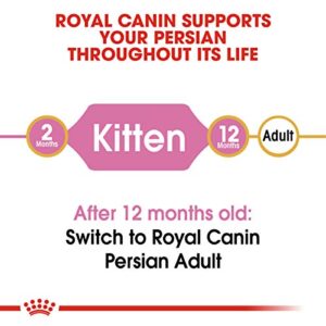 Royal Canin Feline Breed Nutrition Persian Kitten Dry Cat Food, 3 lb