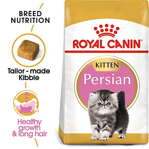 Royal Canin Feline Breed Nutrition Persian Kitten Dry Cat Food, 3 lb