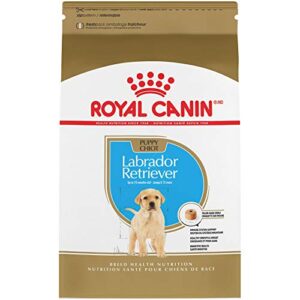 royal canin breed health nutrition labrador retriever puppy dry dog food, 30 lb.