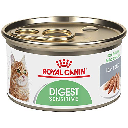 Royal Canin Feline Health Nutrition Digest Sensitive Loaf In Sauce Canned Cat Food, 3 oz, Case of 24