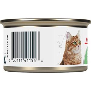 Royal Canin Feline Health Nutrition Digest Sensitive Loaf In Sauce Canned Cat Food, 3 oz, Case of 24