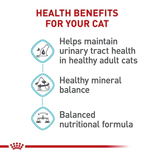 Royal Canin Feline Care Nutrition Urinary Care Adult Dry Cat Food, 6 lb Bag