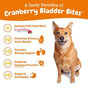 Zesty Paws Cranberry for Dogs - UT Incontinence Support + Immune Health Dog Antioxidant - Urinary Tract UTI & Kidney + Bladder Support - D-Mannose + Organic Marshmallow & Licorice - 90 Chew Treats