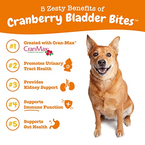 Zesty Paws Cranberry for Dogs - UT Incontinence Support + Immune Health Dog Antioxidant - Urinary Tract UTI & Kidney + Bladder Support - D-Mannose + Organic Marshmallow & Licorice - 90 Chew Treats