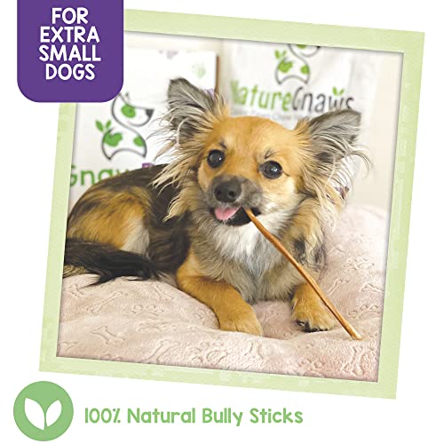 Nature Gnaws Extra Thin Bully Sticks for Dogs - Premium Natural Beef Dental Bones - Long Lasting Dog Chew Treats for Small Dogs & Puppies - Rawhide Free