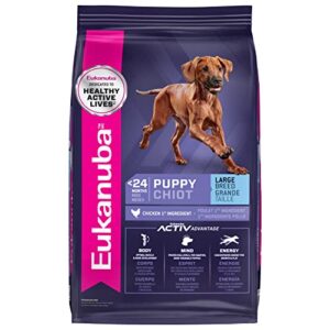 eukanuba puppy large breed dry dog food, 30 lb