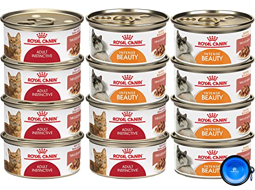 Royal Canin Feline Health Nutrition Canned Cat Food,Thin Slices in Gravy- 3 Ounce Cans- 12 Pack Variety Bundle- 2 Flavors with Pets Food Bowl (6) Adult Instinctive (6) Intense Beauty