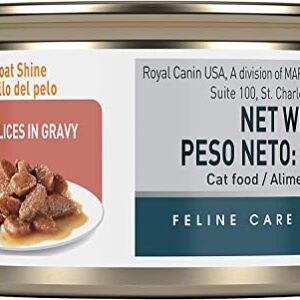 Royal Canin Feline Health Nutrition Canned Cat Food,Thin Slices in Gravy- 3 Ounce Cans- 12 Pack Variety Bundle- 2 Flavors with Pets Food Bowl (6) Adult Instinctive (6) Intense Beauty