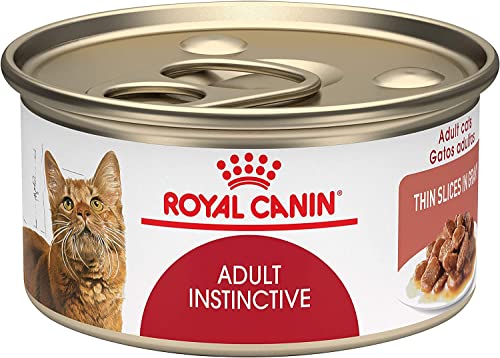 Royal Canin Feline Health Nutrition Canned Cat Food,Thin Slices in Gravy- 3 Ounce Cans- 12 Pack Variety Bundle- 2 Flavors with Pets Food Bowl (6) Adult Instinctive (6) Intense Beauty