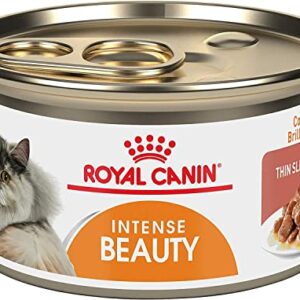 Royal Canin Feline Health Nutrition Canned Cat Food,Thin Slices in Gravy- 3 Ounce Cans- 12 Pack Variety Bundle- 2 Flavors with Pets Food Bowl (6) Adult Instinctive (6) Intense Beauty