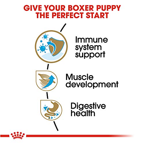 Royal Canin Breed Health Nutrition Boxer Puppy Dry Dog Food, 30 lb