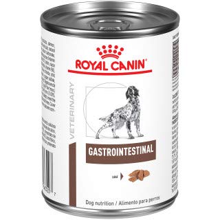 Royal Canin Veterinary Diet Canine Gastrointestinal High Energy In Gel Canned Dog Food, 13.6 oz