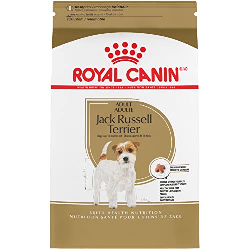 Royal Canin Jack Russell Terrier Adult Dry Dog Food, 10 lb bag