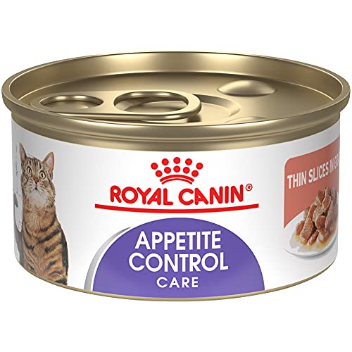 Royal Canin Feline Care Nutrition Appetite Control Thin Slices in Gravy Wet Cat Food, 3 Ounce Can (Pack of 24)