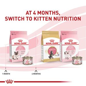 Royal Canin Feline Health Nutrition Mother & Babycat Dry Cat Food for Newborn Kittens and Pregnant or Nursing Cats, 6 lb Bag