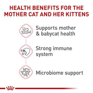 Royal Canin Feline Health Nutrition Mother & Babycat Dry Cat Food for Newborn Kittens and Pregnant or Nursing Cats, 6 lb Bag