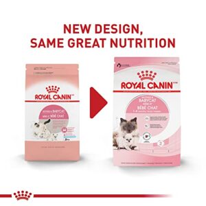 Royal Canin Feline Health Nutrition Mother & Babycat Dry Cat Food for Newborn Kittens and Pregnant or Nursing Cats, 6 lb Bag