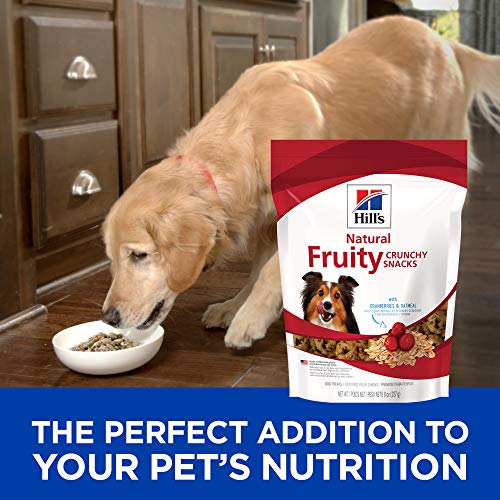 Hill's Dog Treats Crunchy Fruity Snacks with Cranberries & Oatmeal, Healthy Dog Snacks, 8 oz Bag