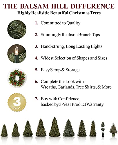 Balsam Hill 7ft Premium Pre-lit Artificial Christmas Tree 'Traditional' Classic Blue Spruce with Clear LED Lights, Storage Bag, and Includes Fluffing Gloves, and Extra Bulbs