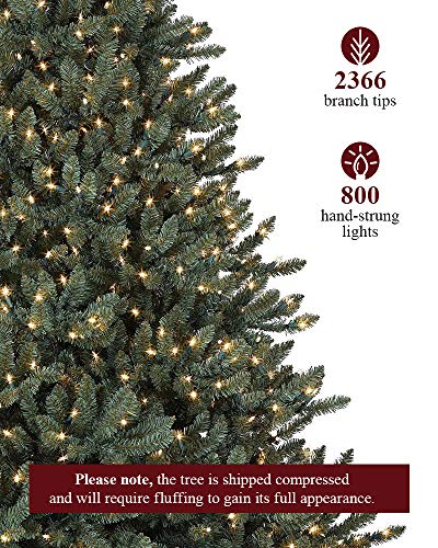 Balsam Hill 7ft Premium Pre-lit Artificial Christmas Tree 'Traditional' Classic Blue Spruce with Clear LED Lights, Storage Bag, and Includes Fluffing Gloves, and Extra Bulbs