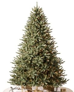 balsam hill 6.5ft premium pre-lit artificial christmas tree ‘traditional’ classic blue spruce with clear incandescent lights, stand, storage bag, and includes fluffing gloves, and extra bulbs