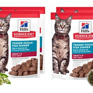 Shadowlish Hill's Science Diet Adult Cat Food Bundle with a Reusable Container of Catnip (Tender Ocean Fish Dinner)